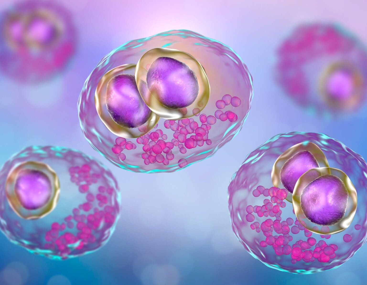 CMV Symptoms In Pregnancy - ELITE IVF - Global IVF Clinic