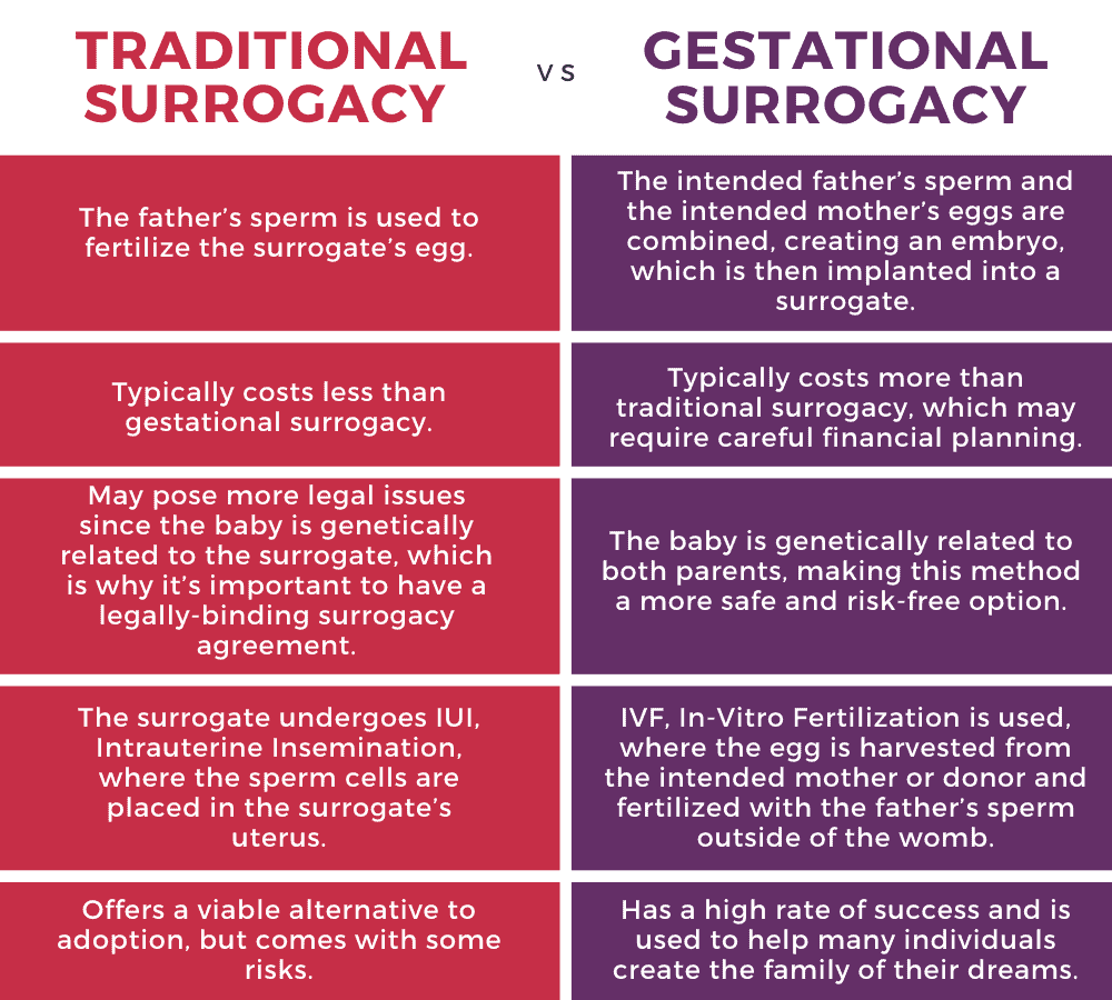 Gestational Surrogacy vs Traditional Surrogacy - ELITE IVF - Global IVF Clinic